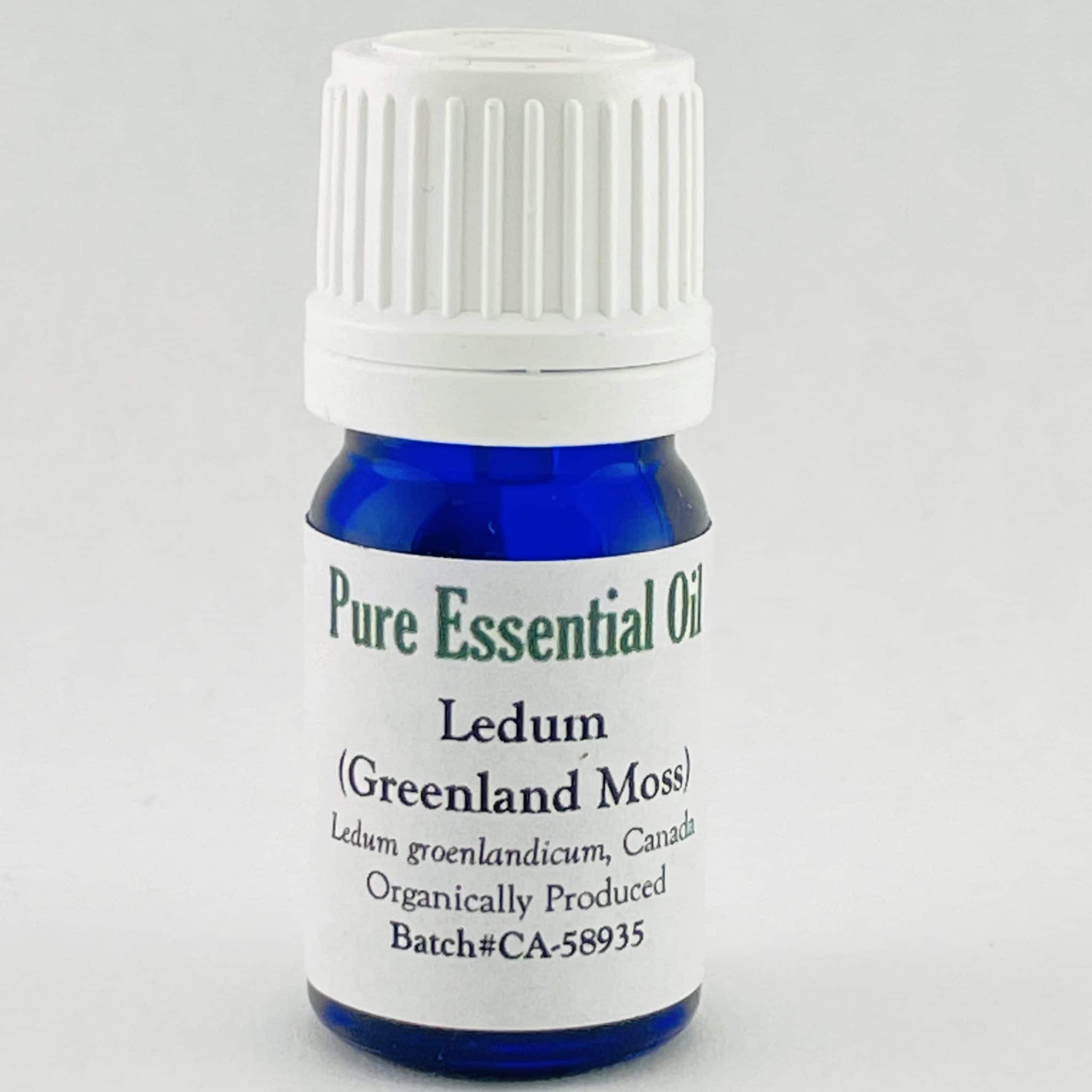 Ledum (Greenland Moss) - Nature's Gift